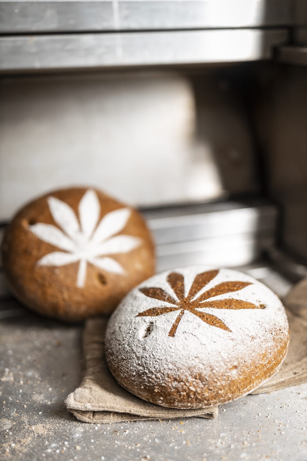 Hanf im Trend - Interviews und Gespräche