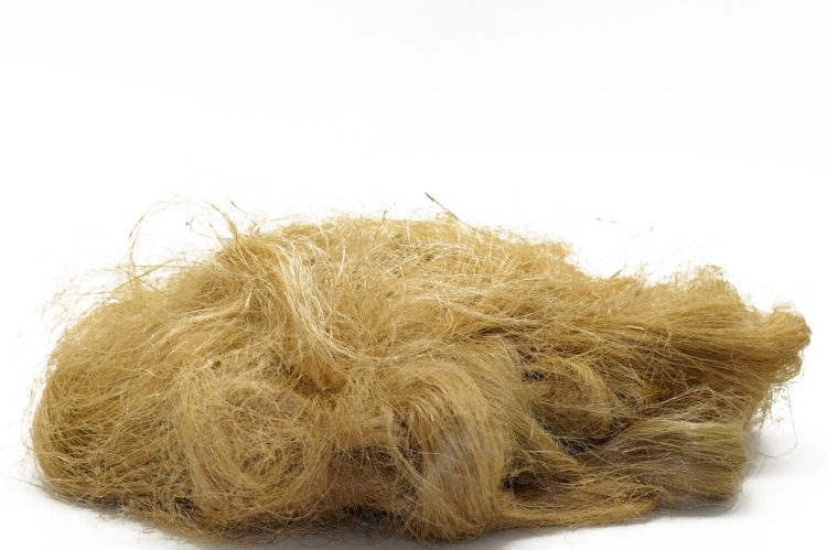 Hanf als Rohstoff für die Herstellung von Baustoffen - Vorteile und ...