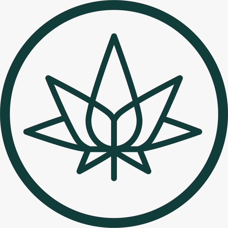 Gesundheit von Anfang an - Interviews und Gespräche